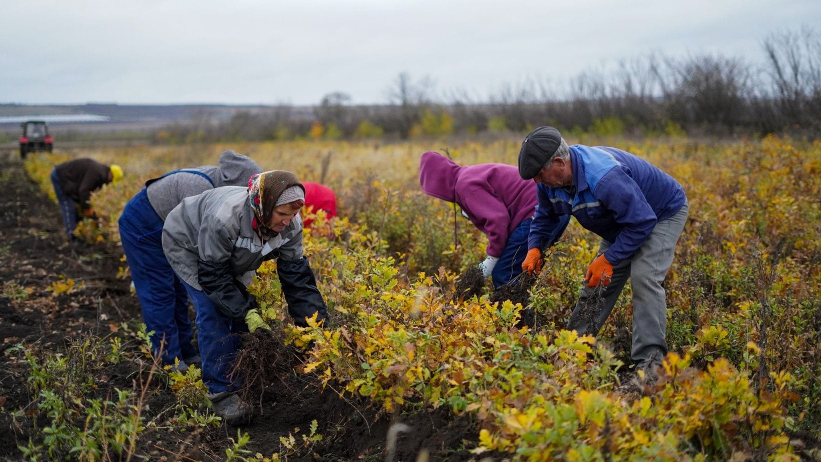 Conducere nouă la Moldsilva și Agenția de Mediu. Cine a venit la cârma ...
