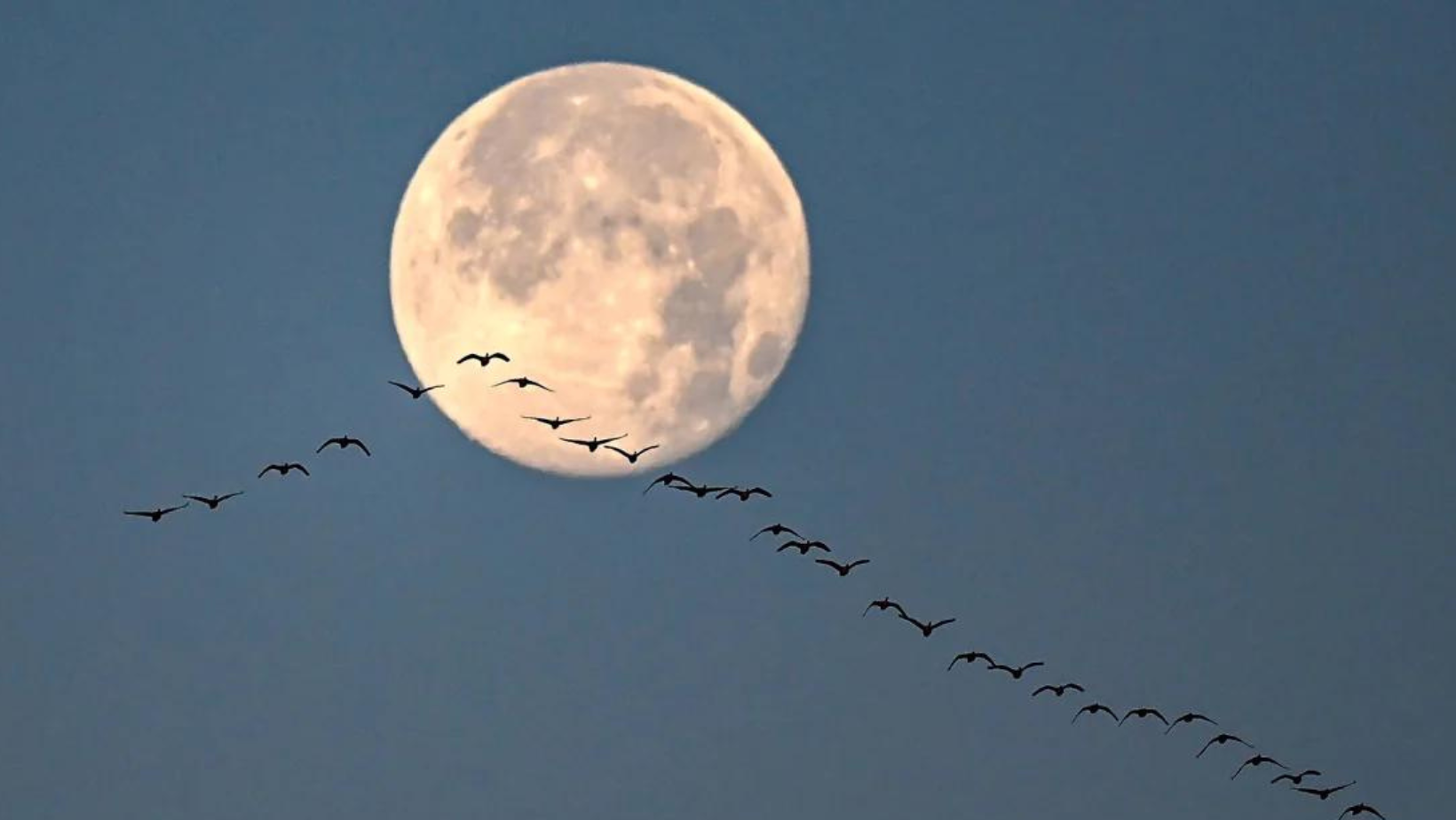 Fenomen spectaculos. „Luna Rece”, ultima lună plină din acest an, va ...